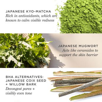 Tatcha Matcha Cleanse | Space NK
