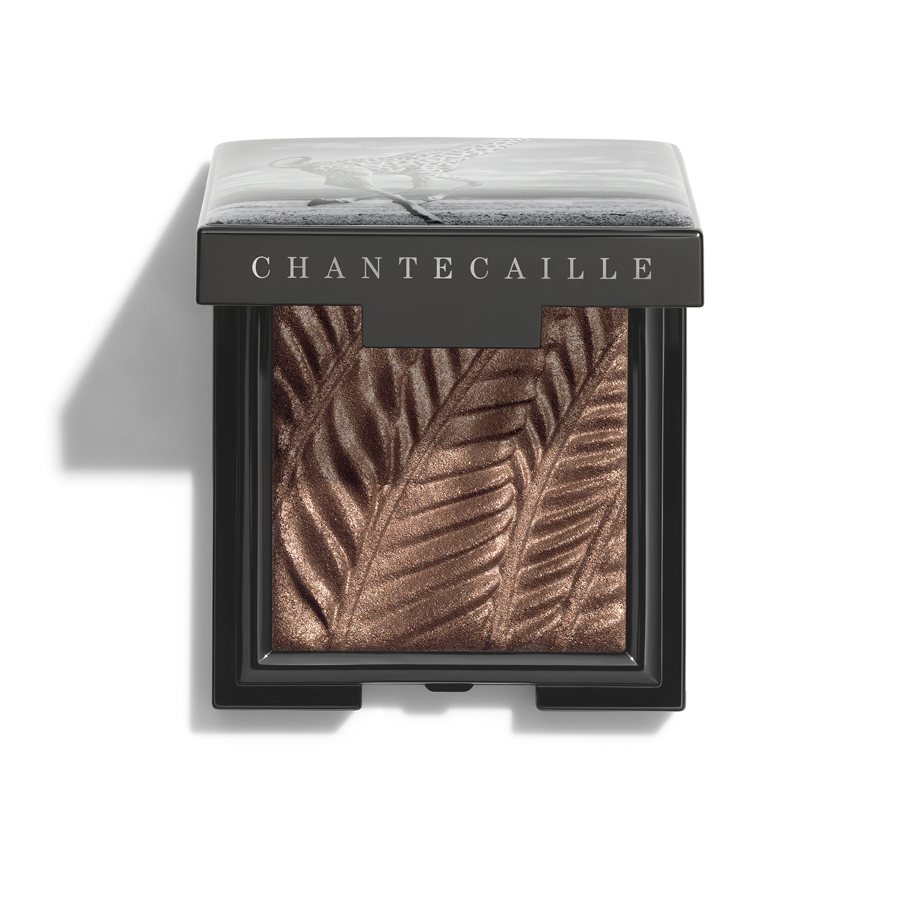 Chantecaille Luminescent Eye Shade | Space NK