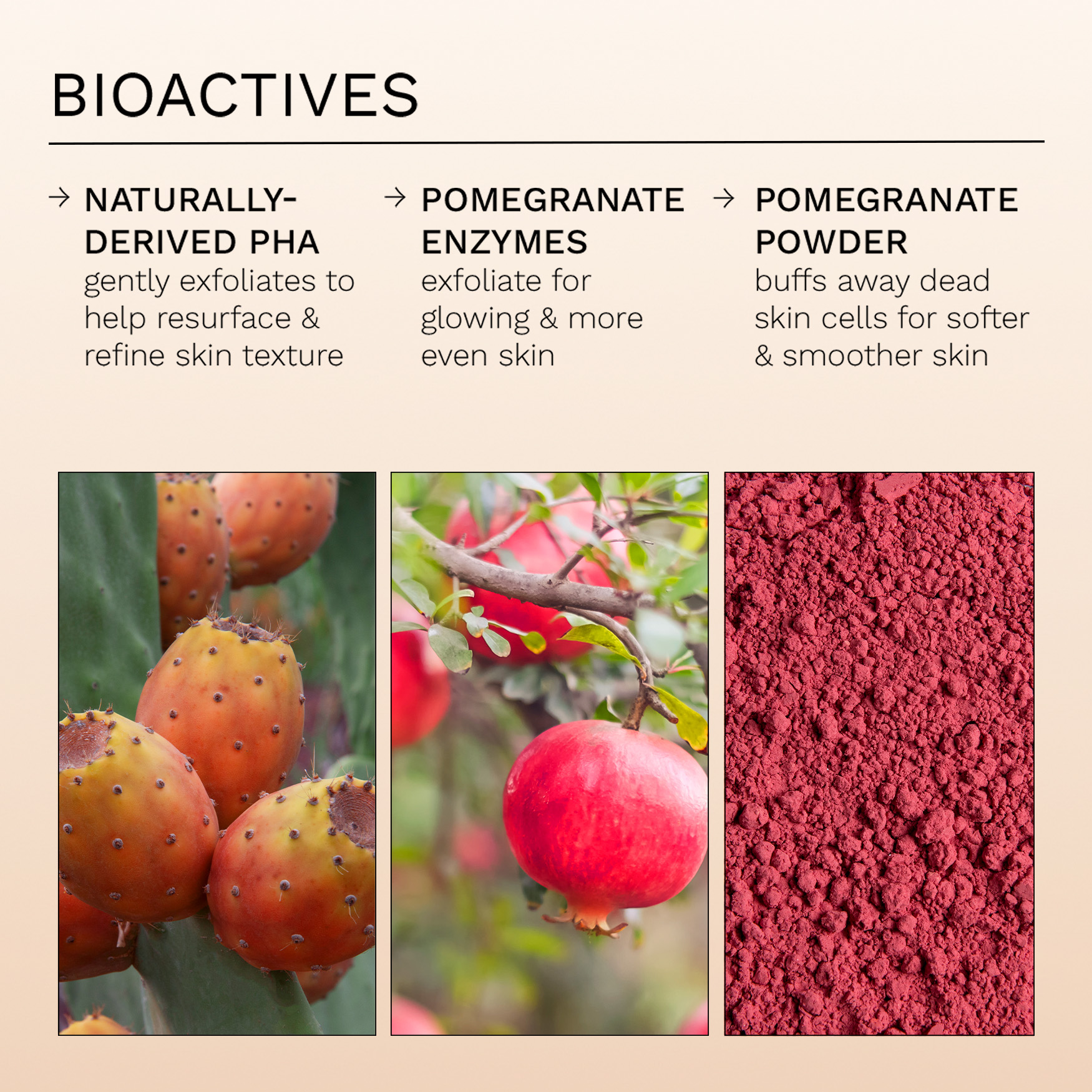 Ren Clean Skincare Radiance PHA Exfoliating Facial | King's Cross