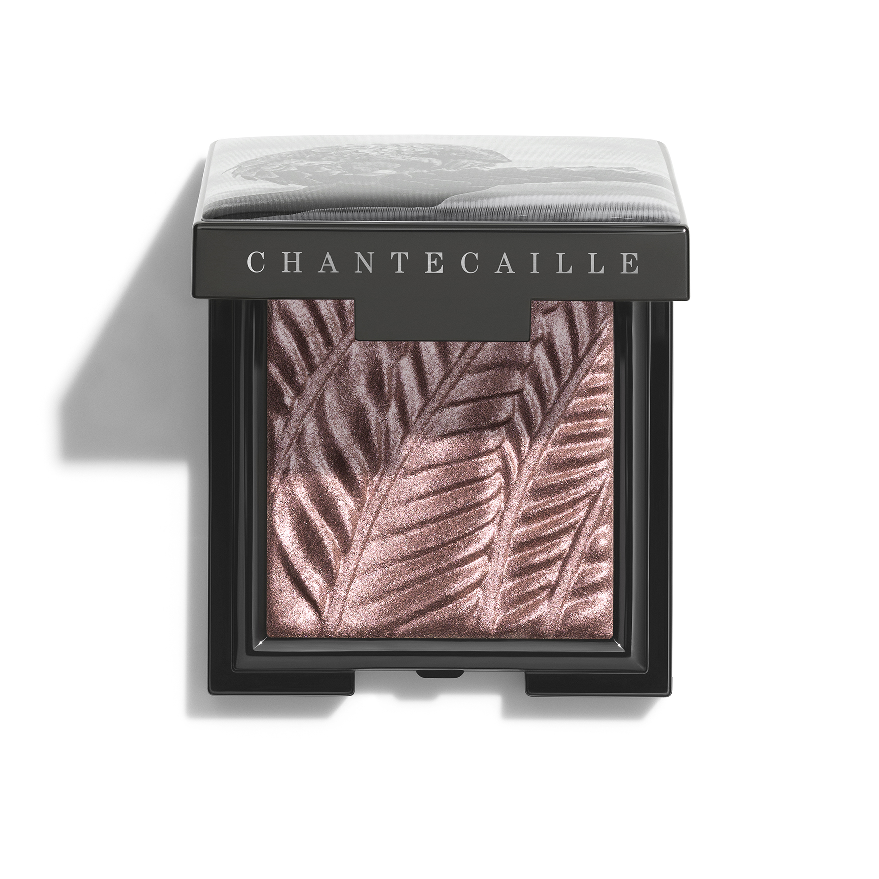 Chantecaille Luminescent Eye Shade | Space NK